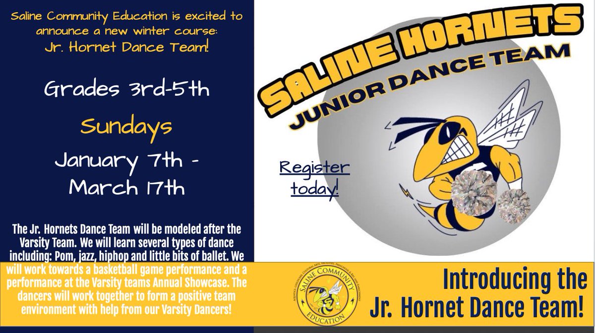 Saline Hornet Logo Hornet Logo Etsy