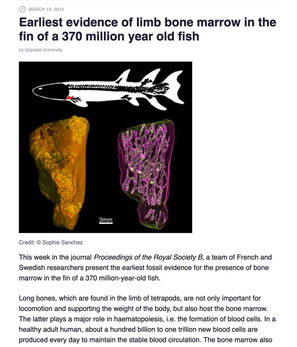 Did you ever wonder why our marrow is located inside of our *bones*, # ...