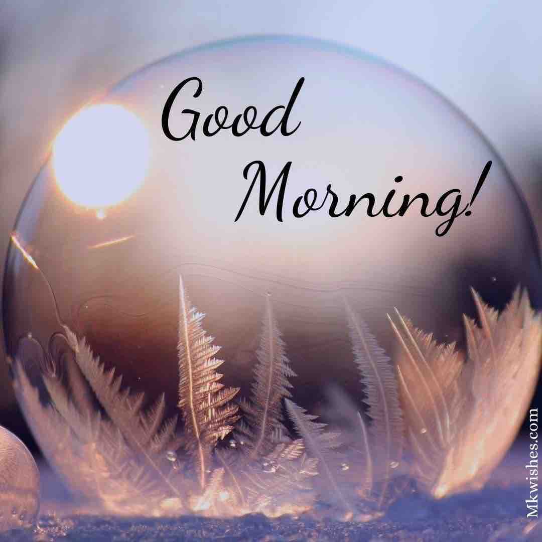 Brrr Its Cold This Morning Good Morning Friends, Happy Saturday, Brrr