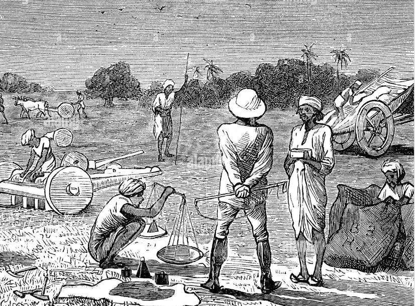 1/11 During the great famines of 1876, 1896 & 1899, the British starved ...