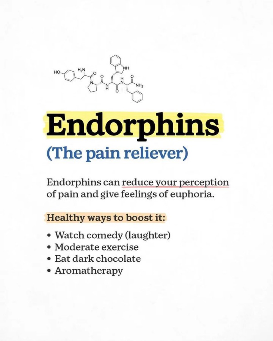 How to hack your brain chemicals: 1. - Thread from Millionaire Wisdom ...