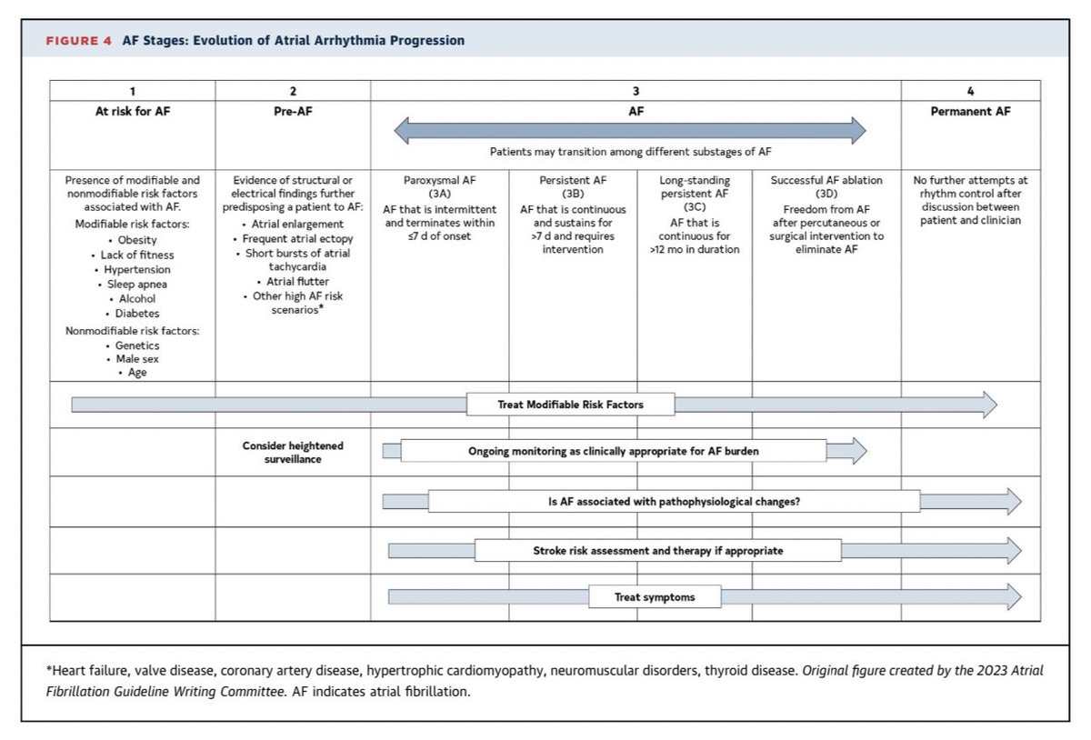 2023 New Atrial Fibrillation (AF) Guidelines. 10 Take-Home Messages ...