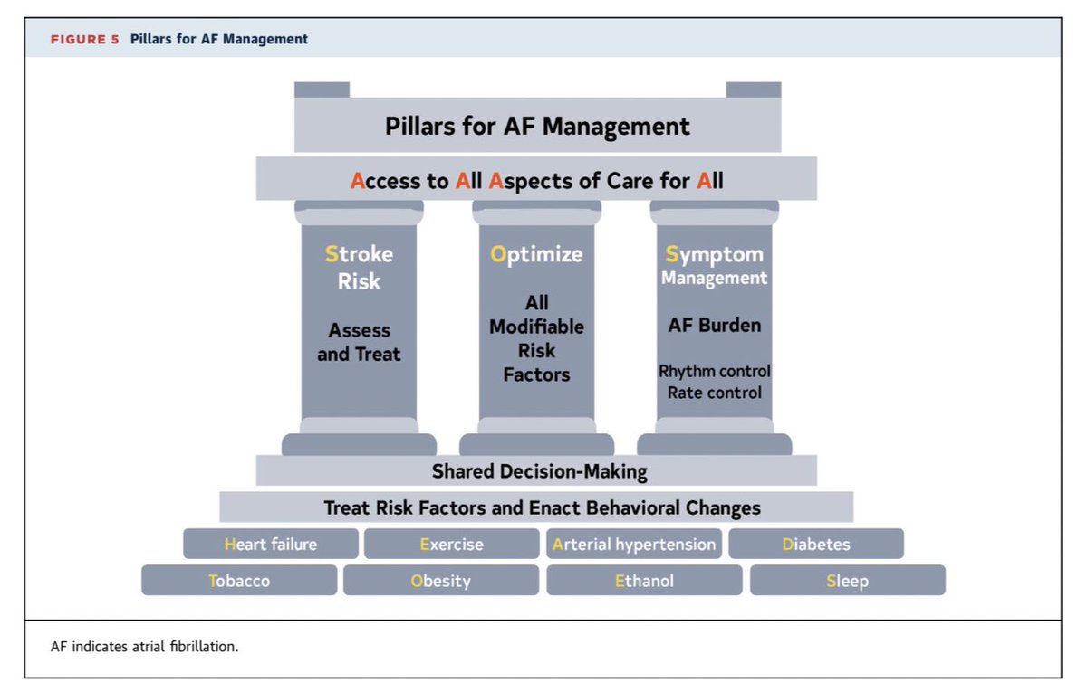 2023 New Atrial Fibrillation (AF) Guidelines. 10 Take-Home Messages ...