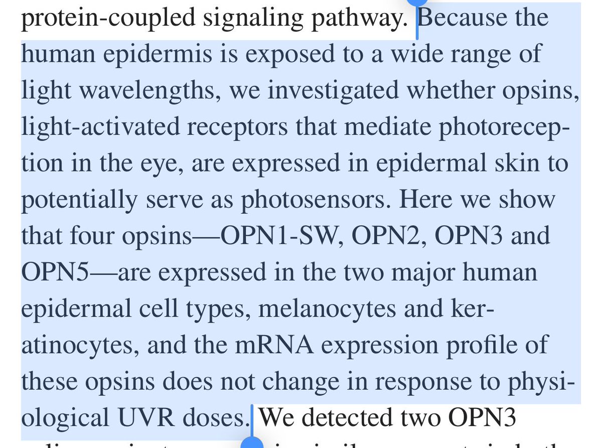 Opsins 101 If sunlight is inherently toxic, why did evolution build ...