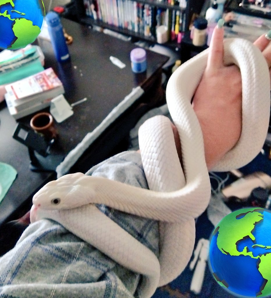 五味(@miko_web) - Twilog