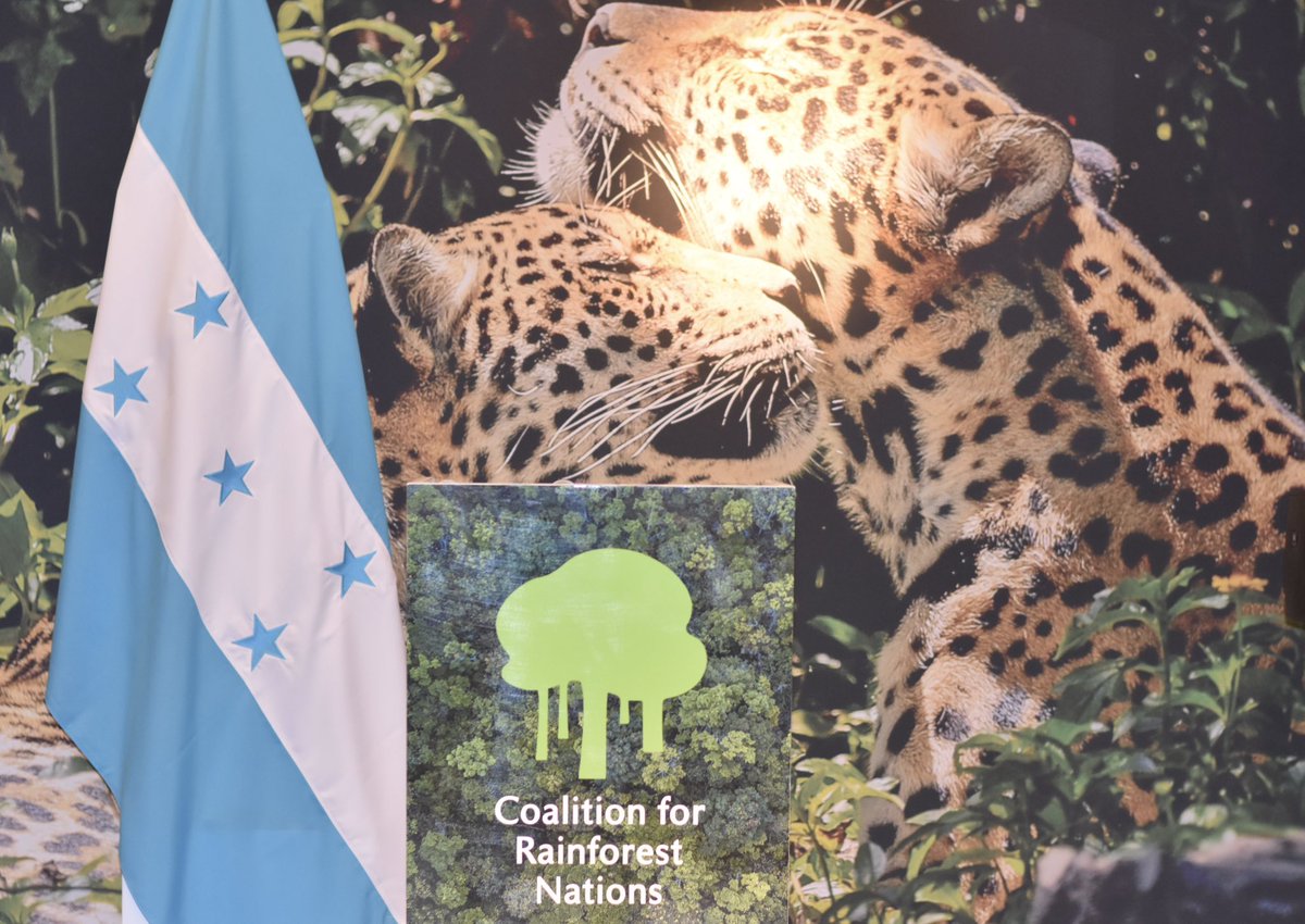 CfRN COP27 2022 - Coalition for Rainforest Nations