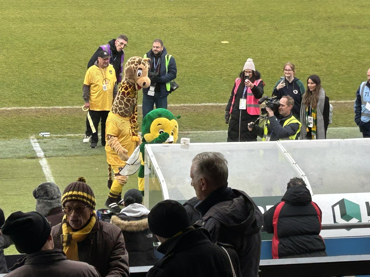 Dedicated website launched for new ground - Horsham Football Club