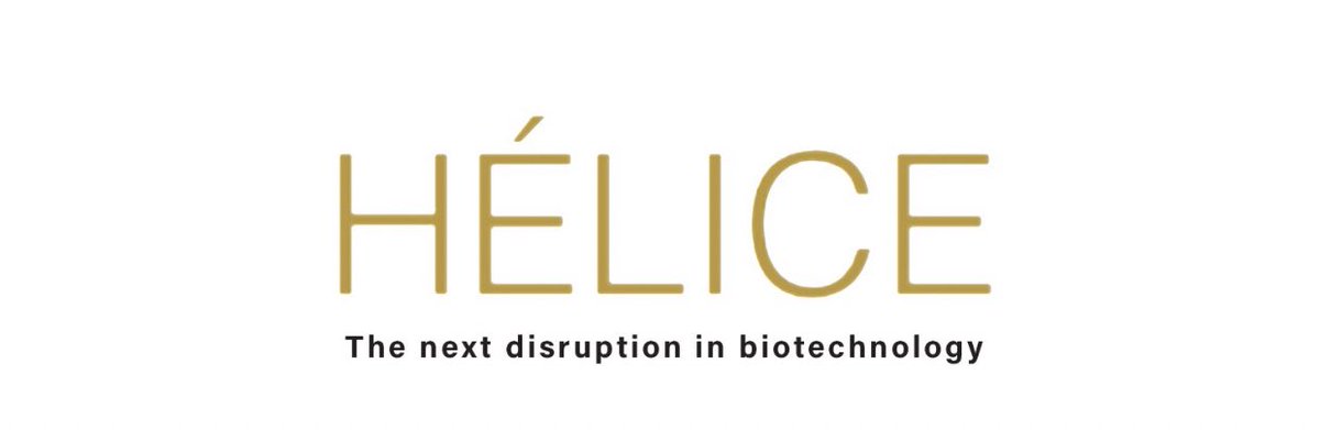 𝗗𝗲𝘀𝗰𝗶 𝘀𝗲𝗮𝘀𝗼𝗻 𝗶𝘀 𝘂𝗽𝗼𝗻 𝘂𝘀. Speculation alone can cause 100x. With only 6 ...