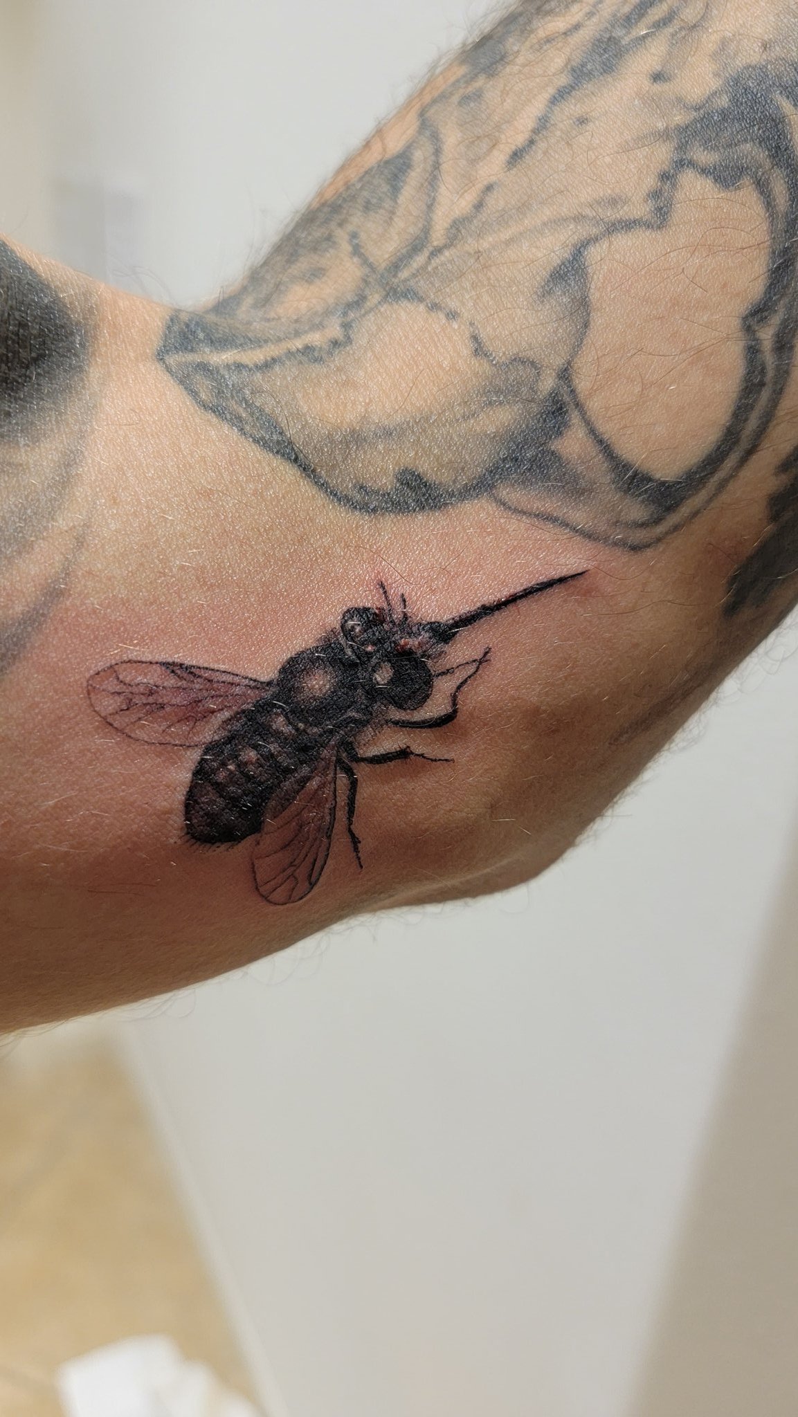 Fly Insect Tattoos
