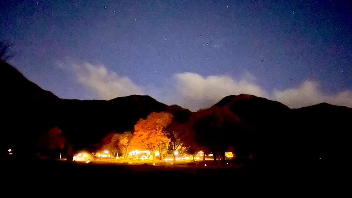 「お肉にくにくお肉にく合わせてにくにくお肉にく」|🐹いよ🌻アコマルB04のイラスト