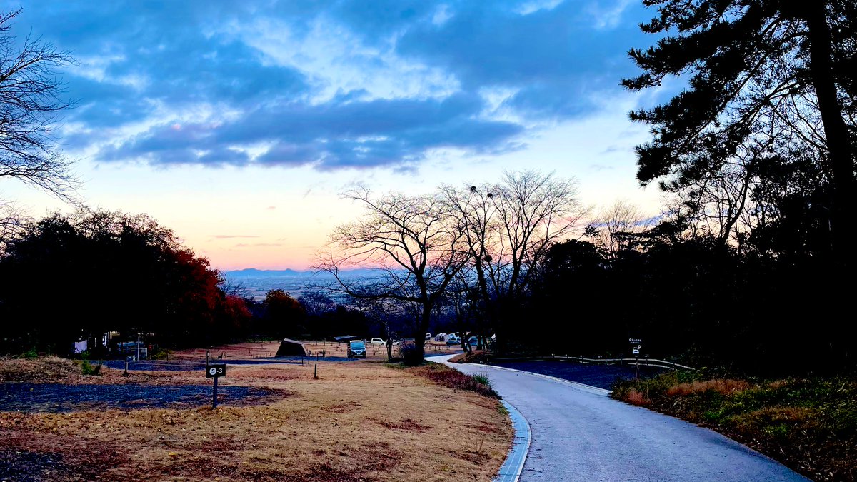 「お肉にくにくお肉にく合わせてにくにくお肉にく」|🐹いよ🌻アコマルB04のイラスト