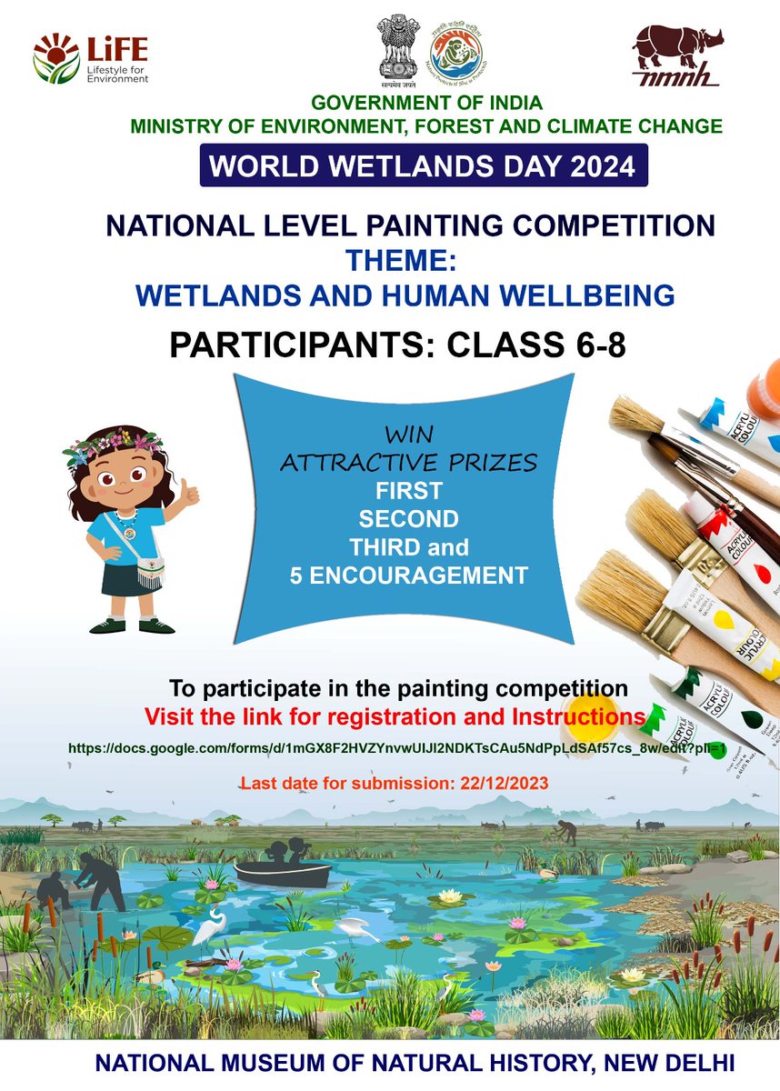 Wetlands Drawing Orlando Wetlands Park. – Kate Dolamore Art