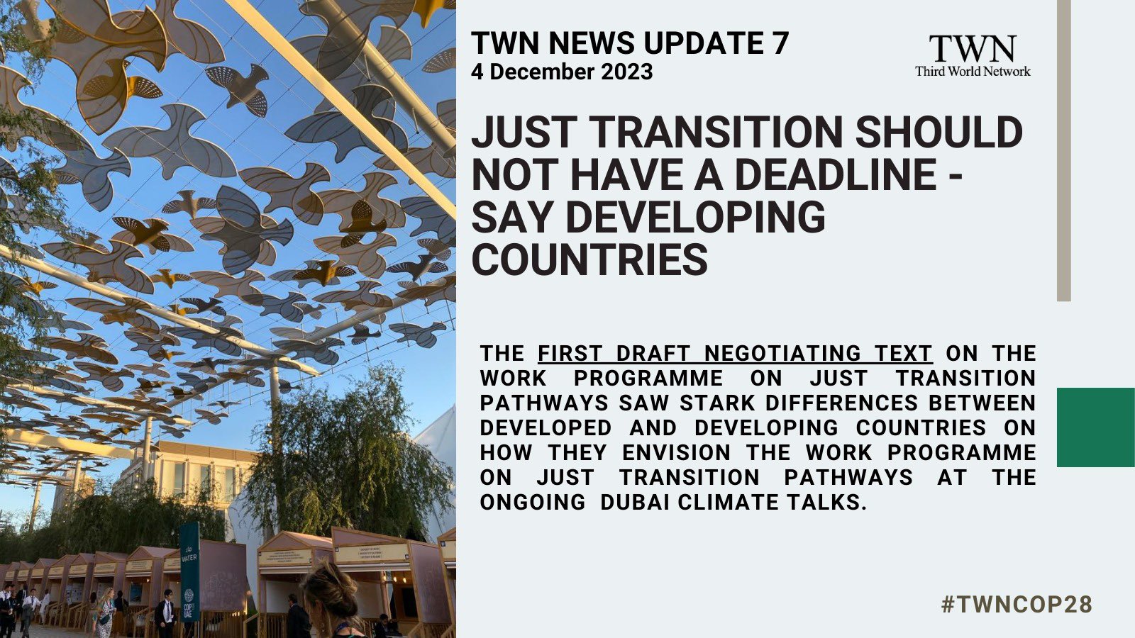 Third World Developing Countries