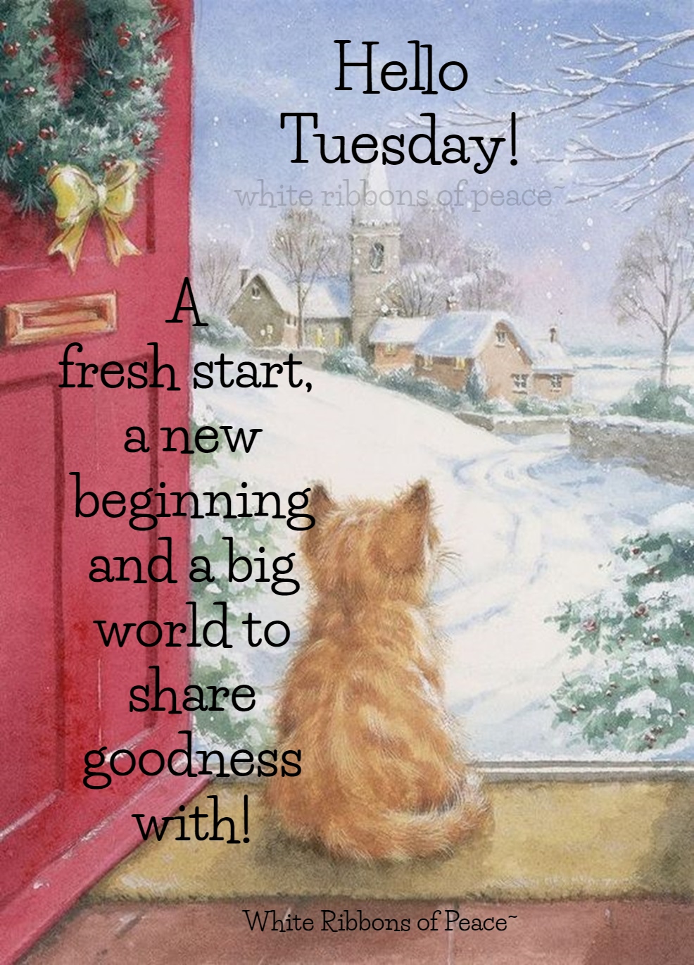 Good Morning Tuesday Cat