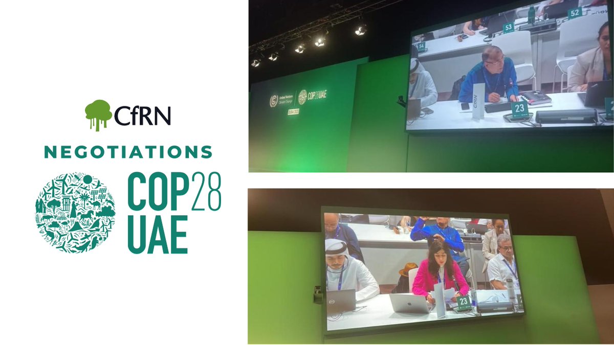 CfRN COP27 2022 - Coalition for Rainforest Nations