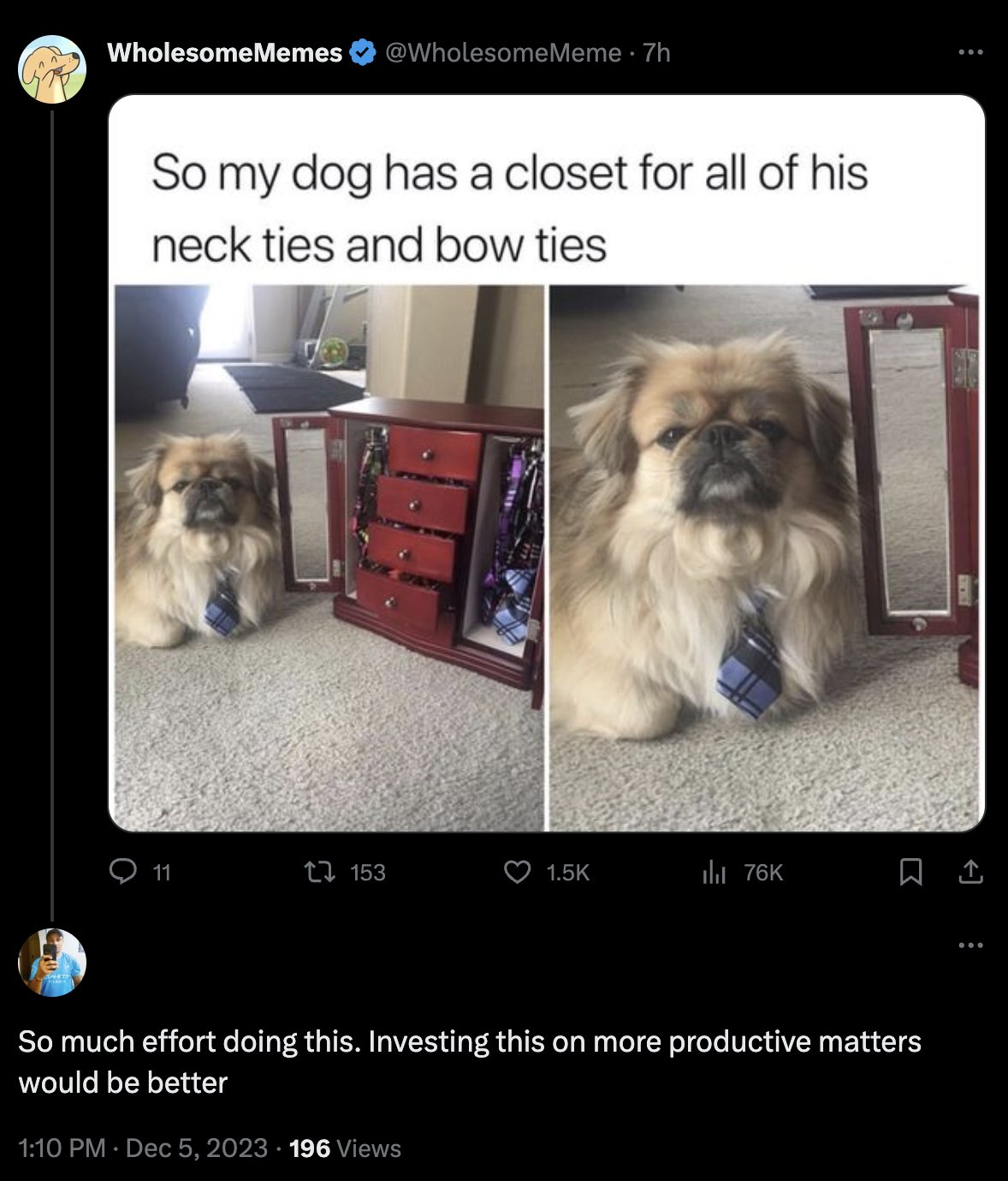 Pekingese Dog Memes