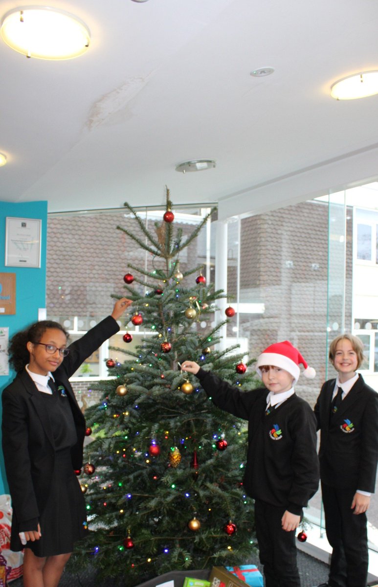 Welcome to The Forest School