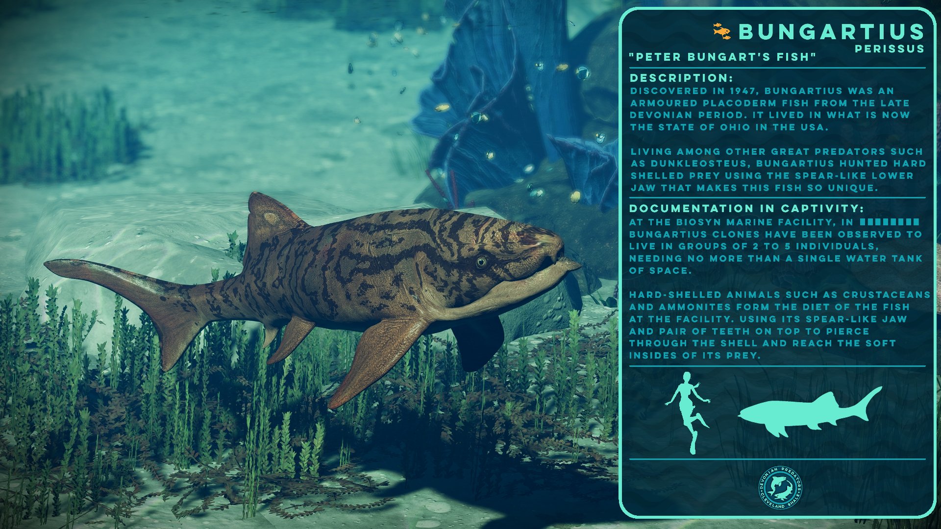 Devinian No Animal Studies. Fig. 246.—An Ostracoderm {Pterichyodes