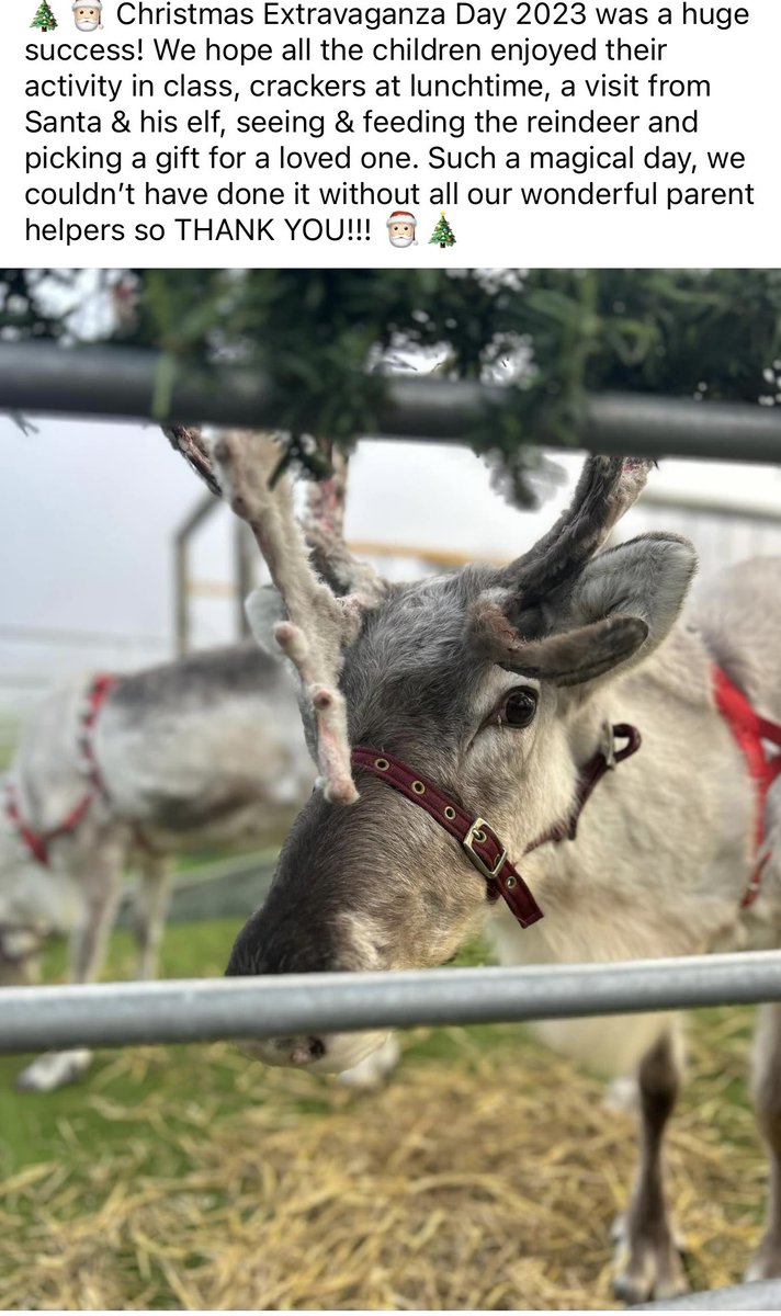 Welcome to GLF Danetree