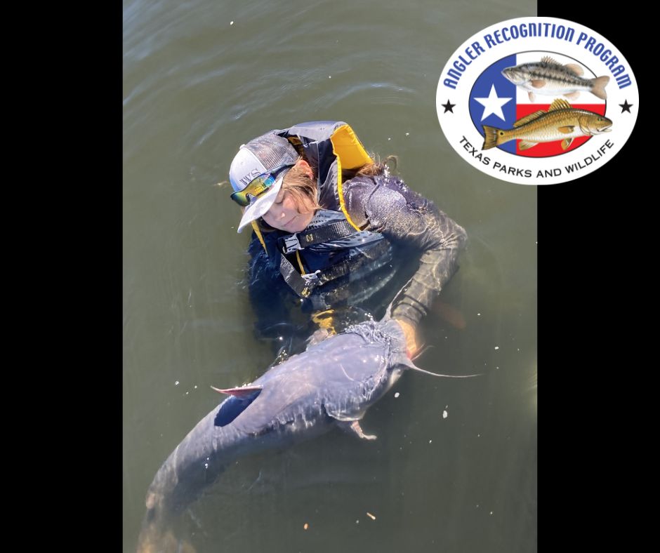 Largest Channel Catfish Record NEW STATE RECORD CHANNEL CATFISH