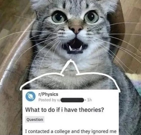 Gasp Cat Meme Cat Gasp