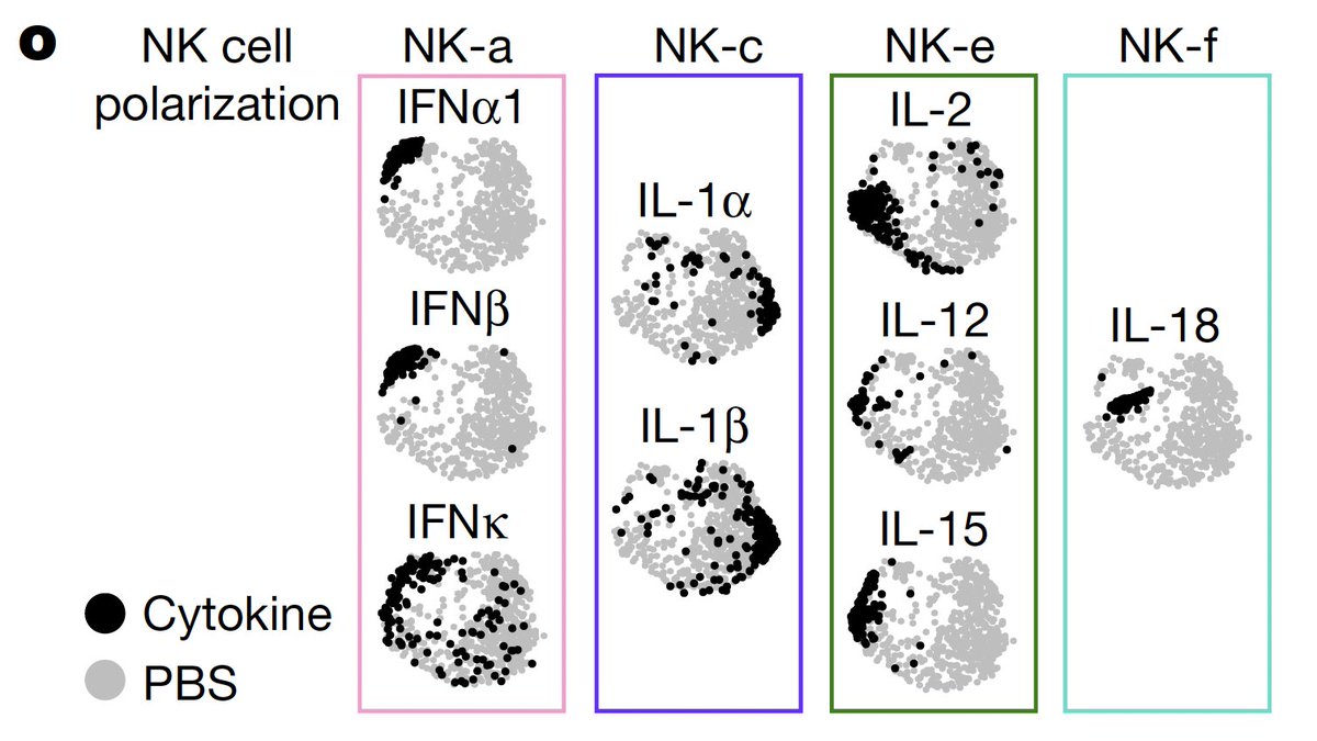 #ImmuneDictionary is out today in @Nature! Paper https://t.co ...