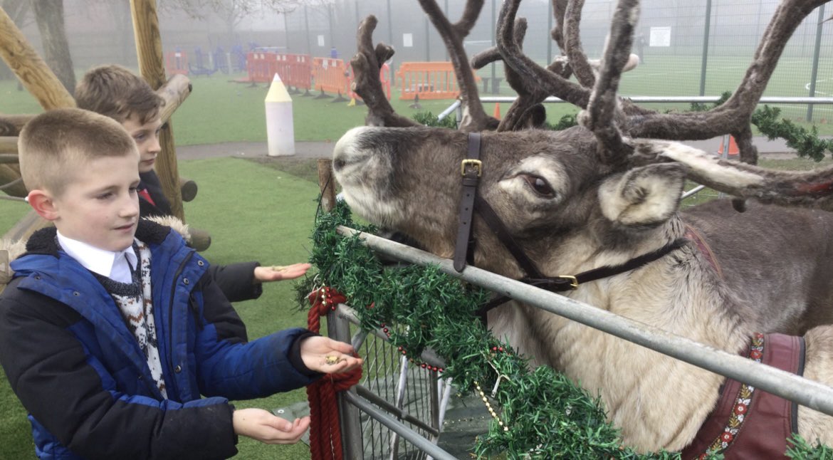 Welcome to GLF Danetree