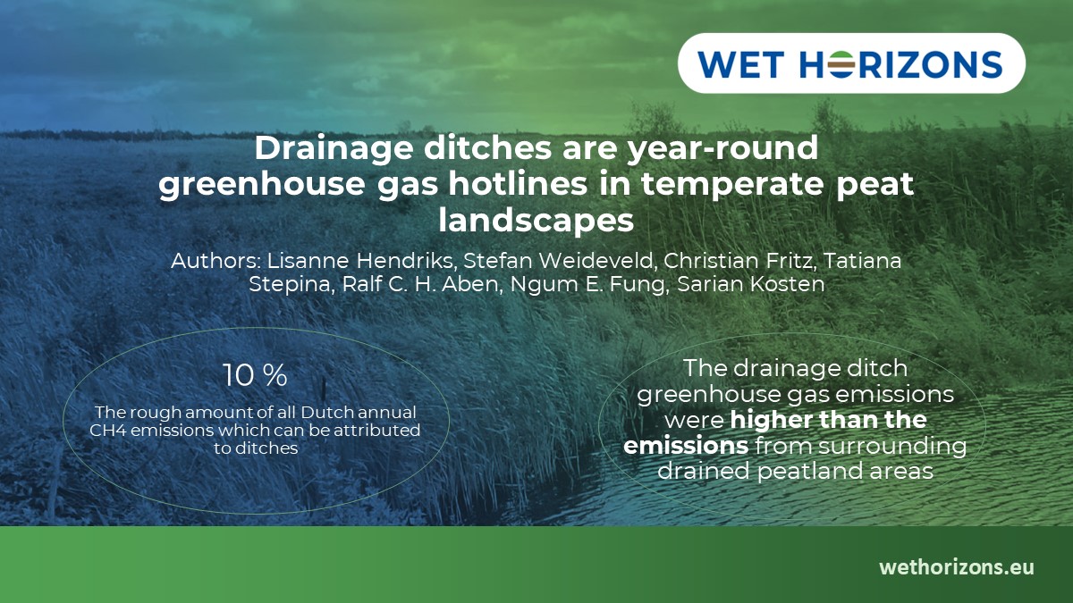 Wet Horizons - Improving wetland knowledge and developing tools to ...