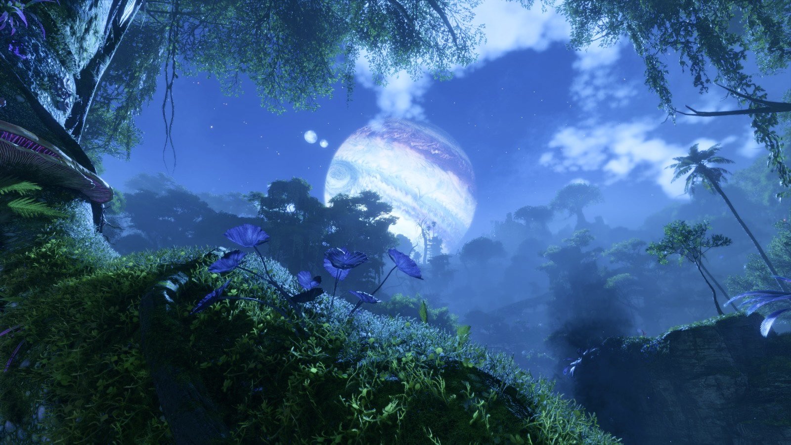 Avatar Pandora Wallpaper 1920x1080 @AvatarFrontiers's Video Tweet