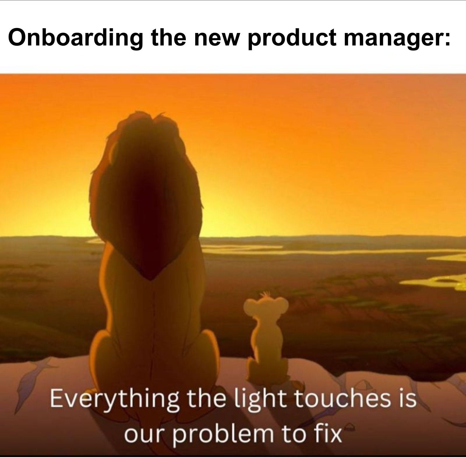 Sunlight Lion King Meme Oh I Just Can't Wait For 31st Of March.