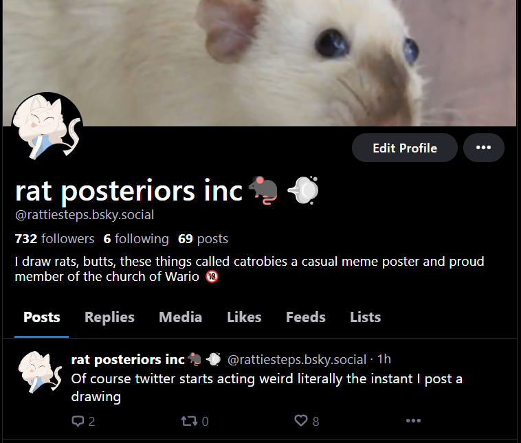 Rat Tumblr Post
