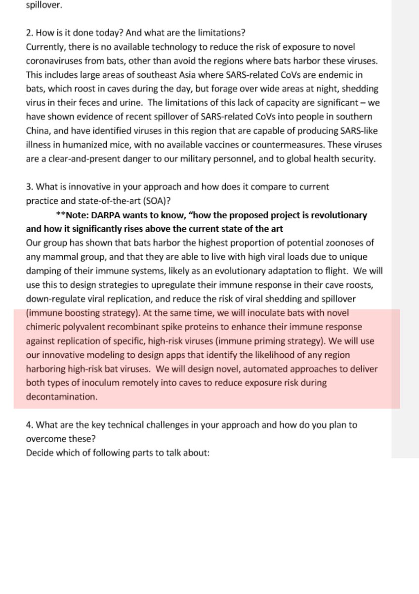 Destiny Rezendes's Threads – Thread Reader App