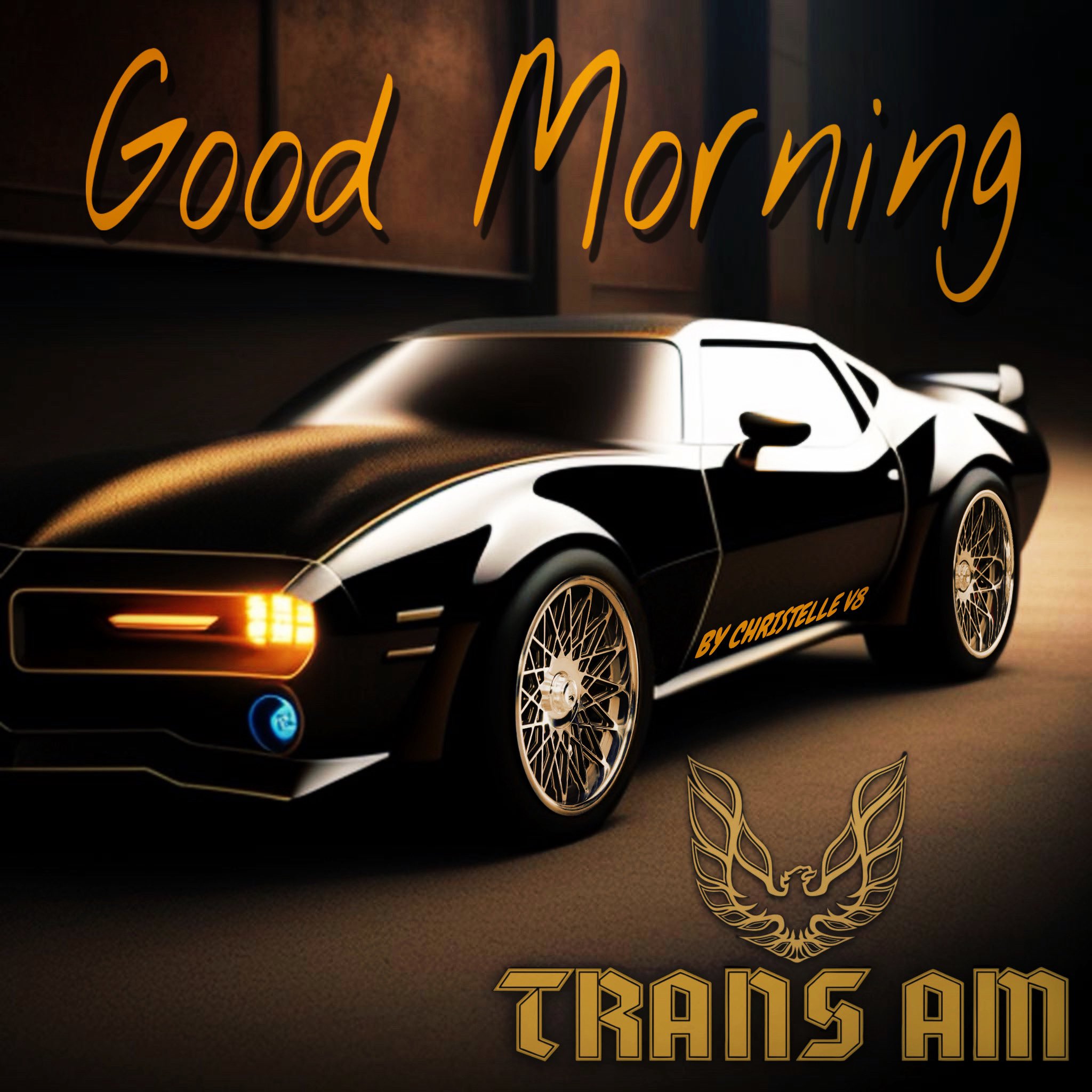 Trans Am Memes