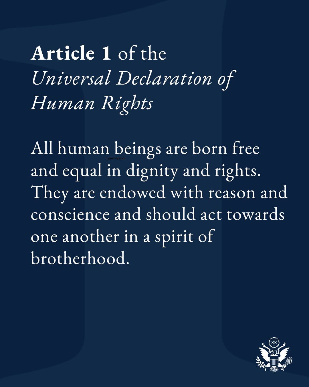 Universal Declaration Of Human Rights Article 1 United Nations