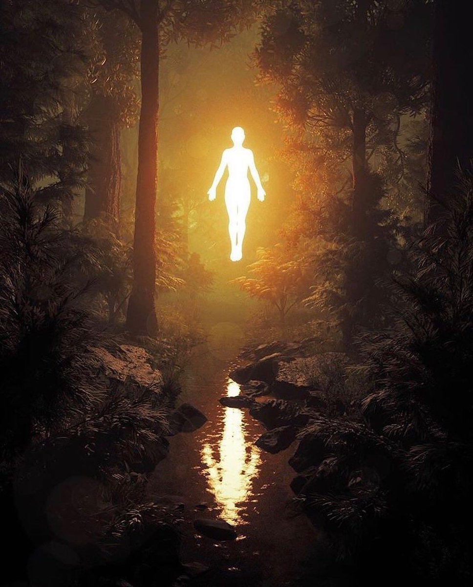 Lo más poderoso que puedes hacer en este momento es ser paciente ...