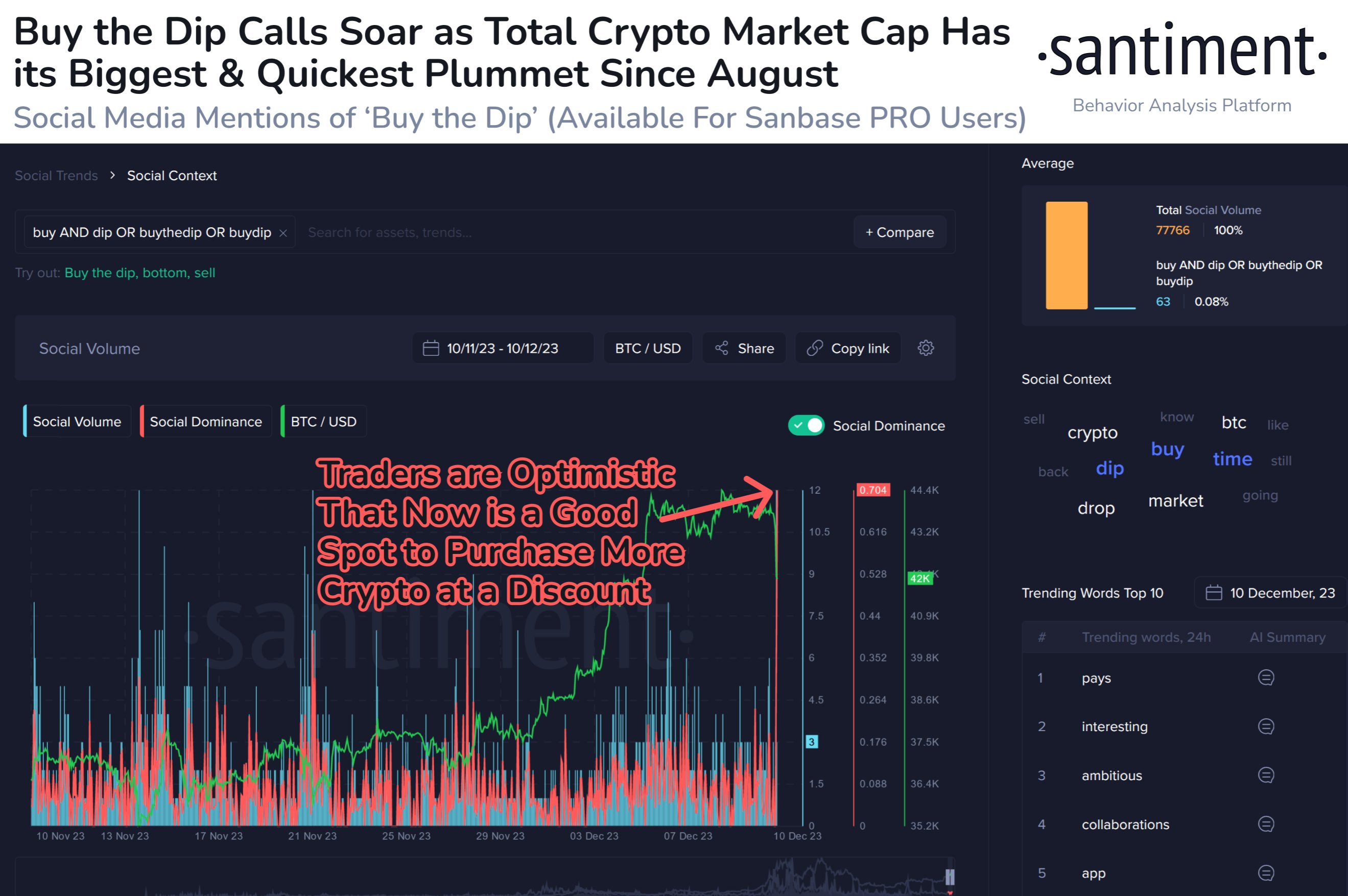 Crypto Market Crashes: Traders React With Crypto Market Crashes: Traders React With