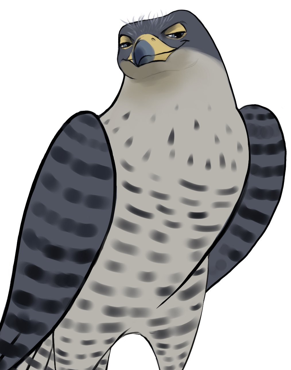 Stuart Little Falcon