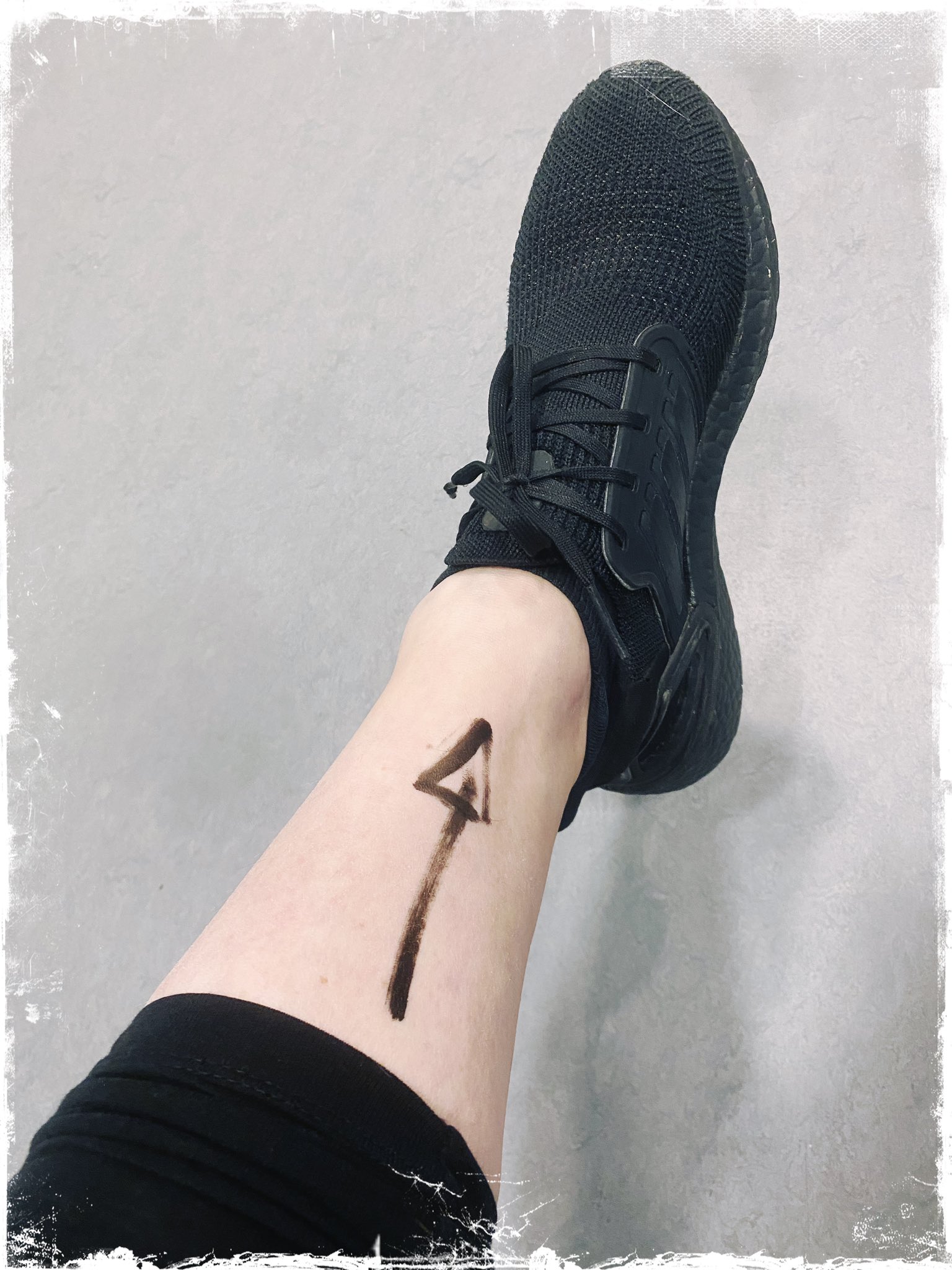 Alice Roberts Tattoos Zoo Elephants Going To New Home In 2027 Roger