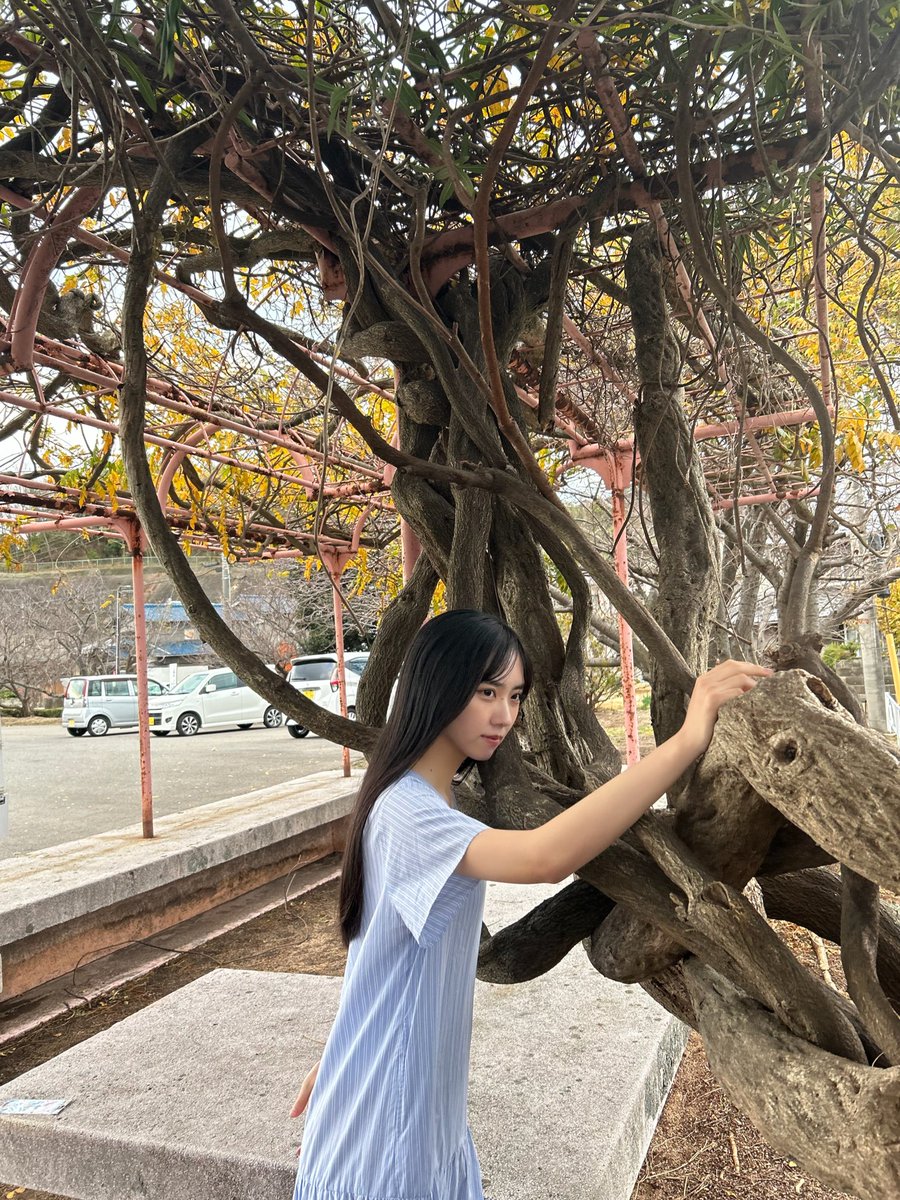 【STU48】沖舞スレ4185