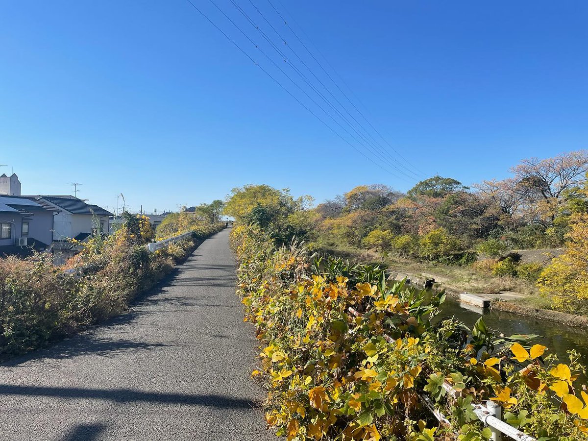 Kimura Goro(@ksphagnum) - Twilog