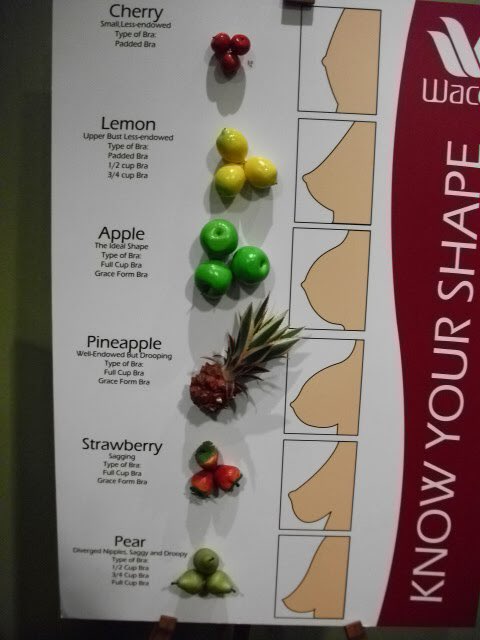 Fruit Breast Shape Chart