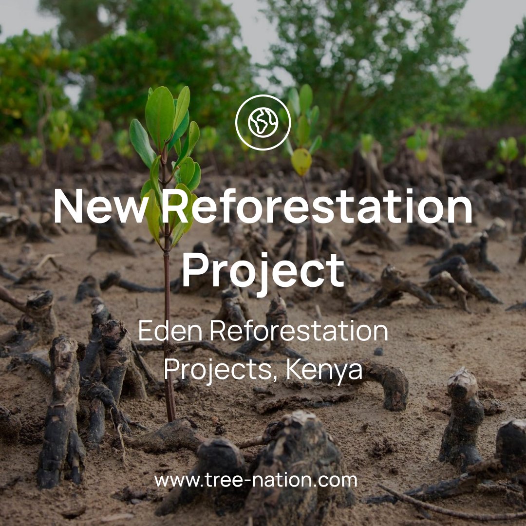 Reforestation Projects In England, Reforestation Projects Are Ever