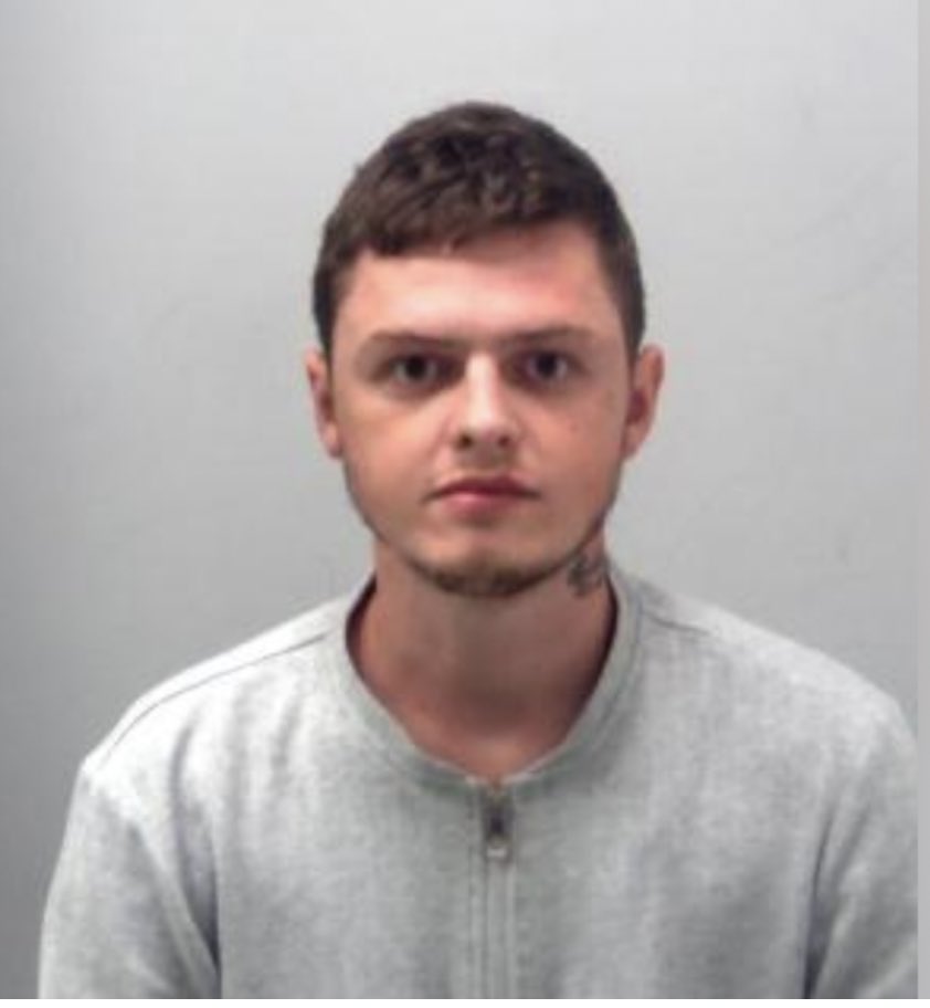 Leighton Lee's Instagram, Twitter & Facebook on IDCrawl