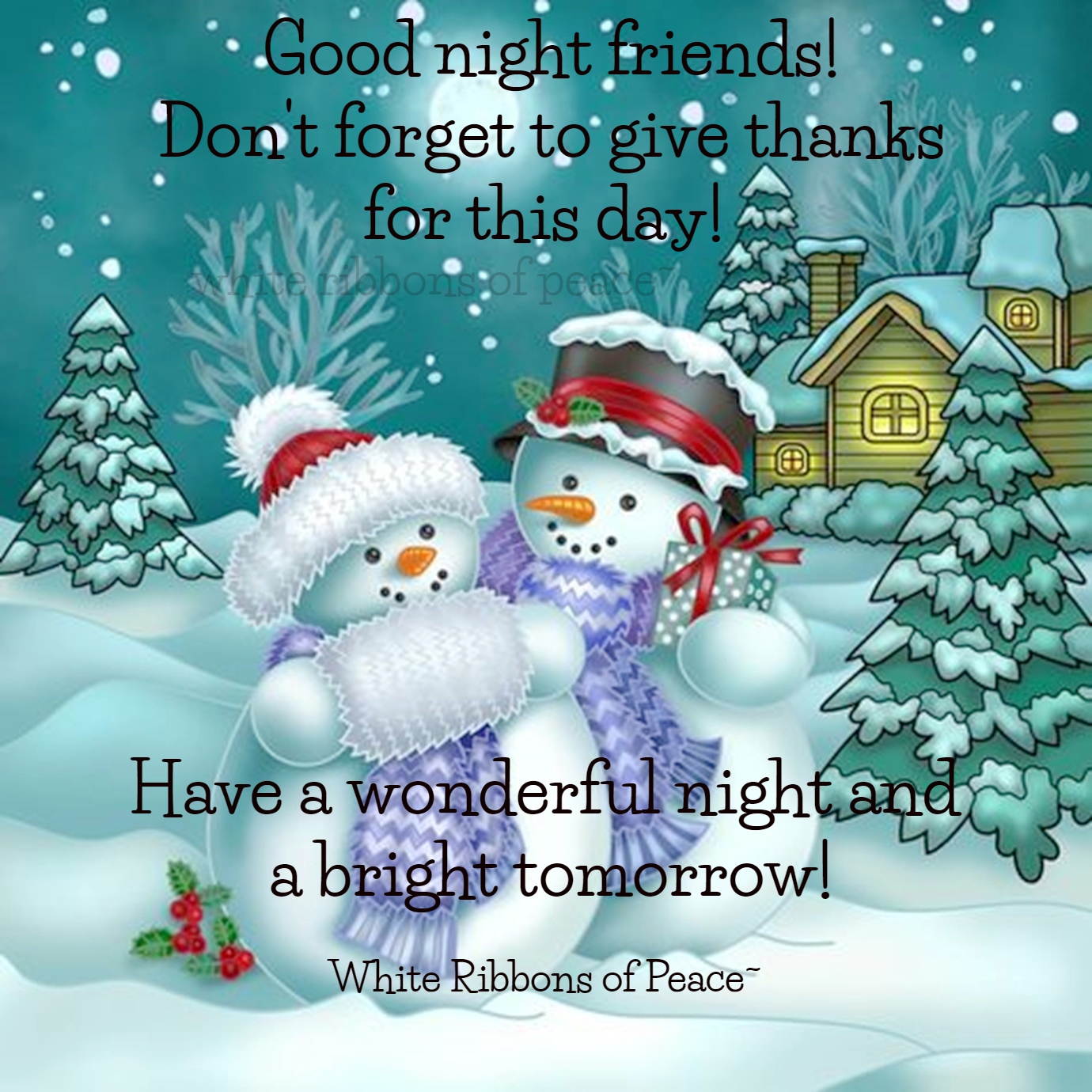 Good Night Holiday Quotes Good Night Message