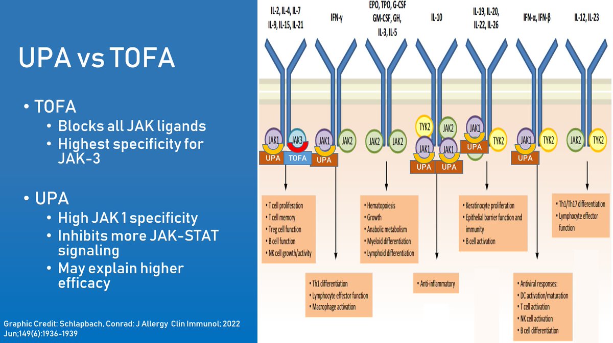 1/ As promised, and as inspired by @UofTGastroHep super⭐️ residents ...