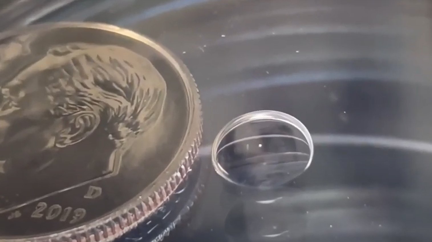 Human Egg Cell Size The Human Egg Cell, Explained By An Embryologist