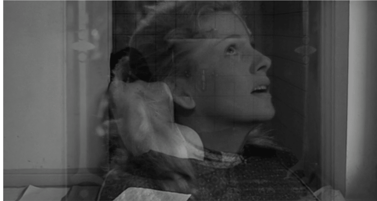 Colleen Laird's Instagram, Twitter & Facebook on IDCrawl