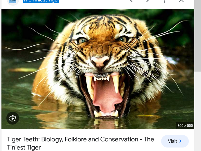 Gen X. We lived through the start of this👇 Maybe you should listen to ...