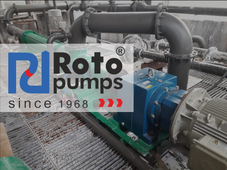 ⚡️Roto Pumps Ltd: A Small cap Pumps manufacturing company ⚡️Can Solar ...