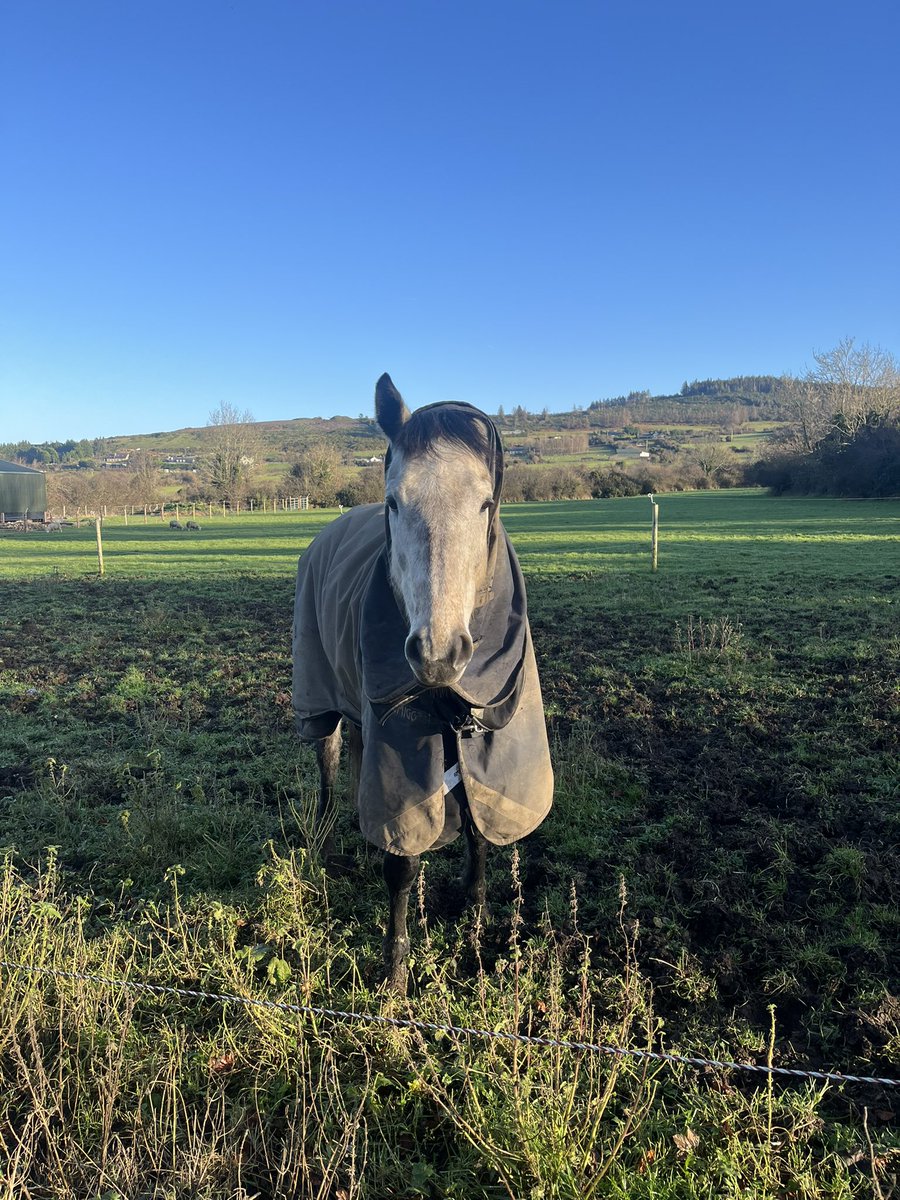 Glenasmole National School – Glenasmole National School